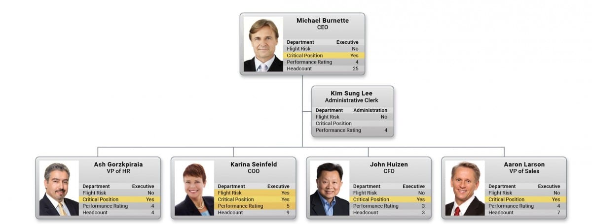PaySpace OrgChart - Professional Organization Structure Visual Tool