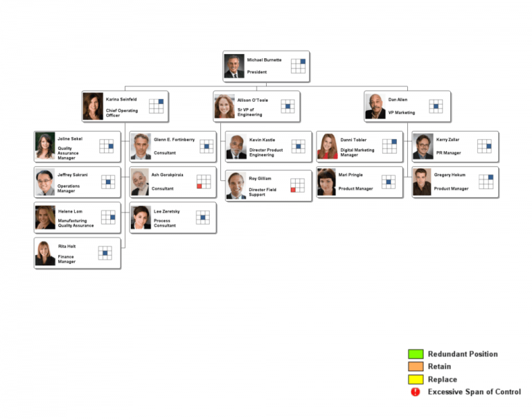PaySpace OrgChart - Professional Organization Structure Visual Tool