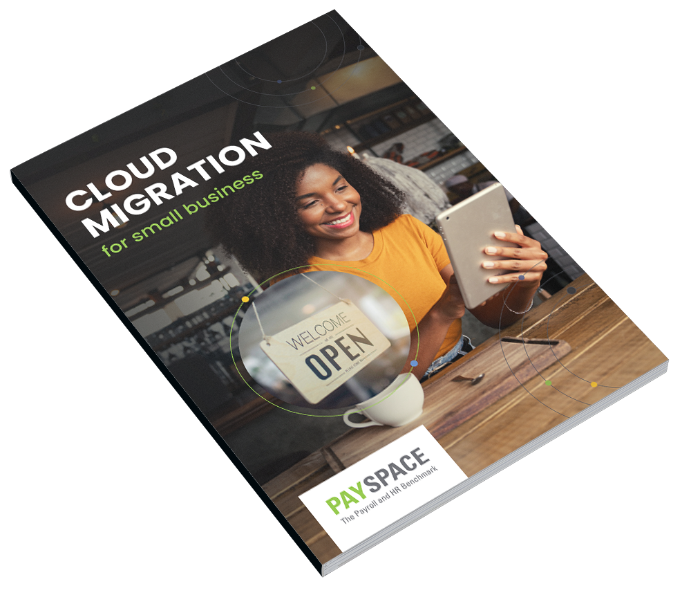 Small Business | PaySpace | 2024