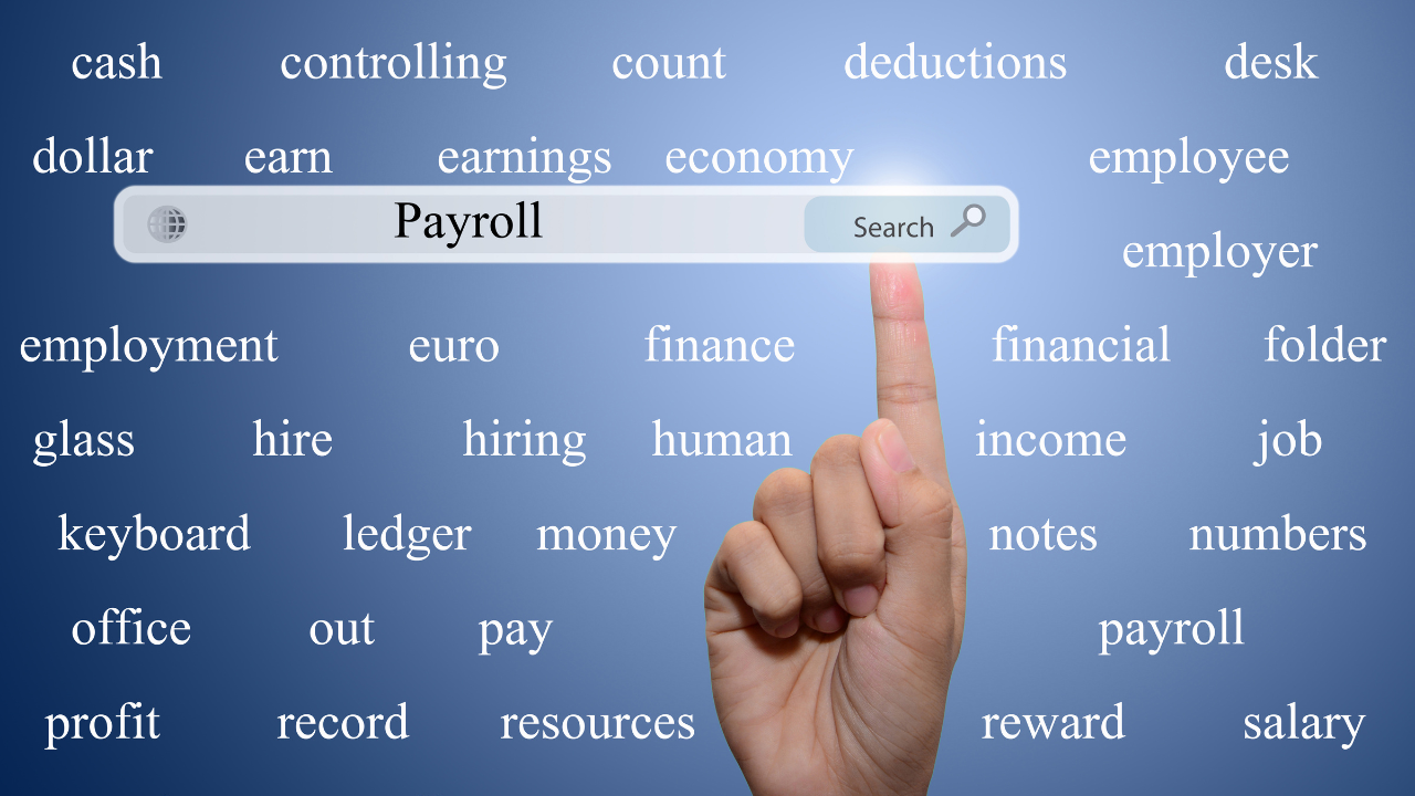 Payroll Software | Online Payroll System | PaySpace