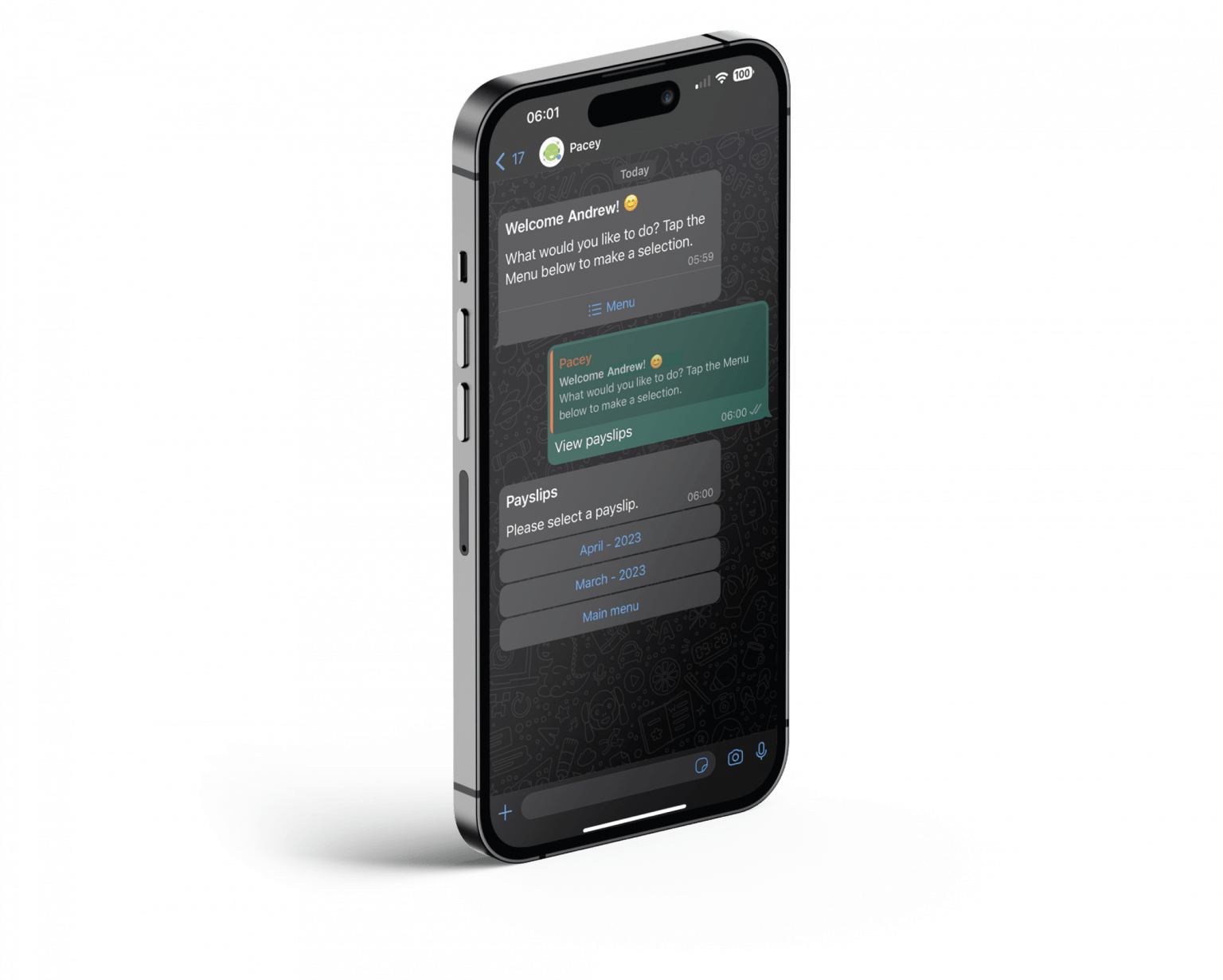 Payroll and HR Software Solutions