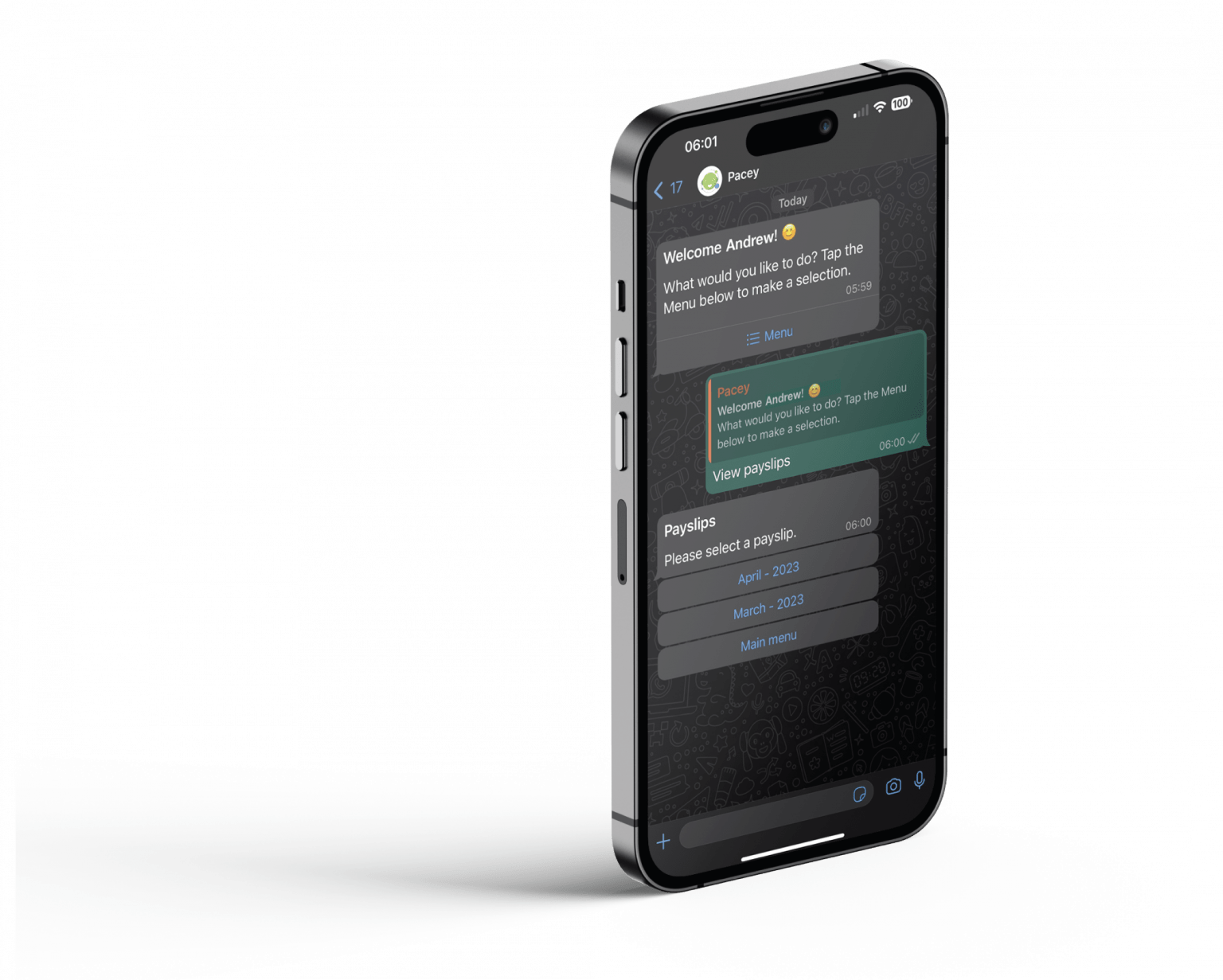 WhatsApp ESS | PaySpace | 2025
