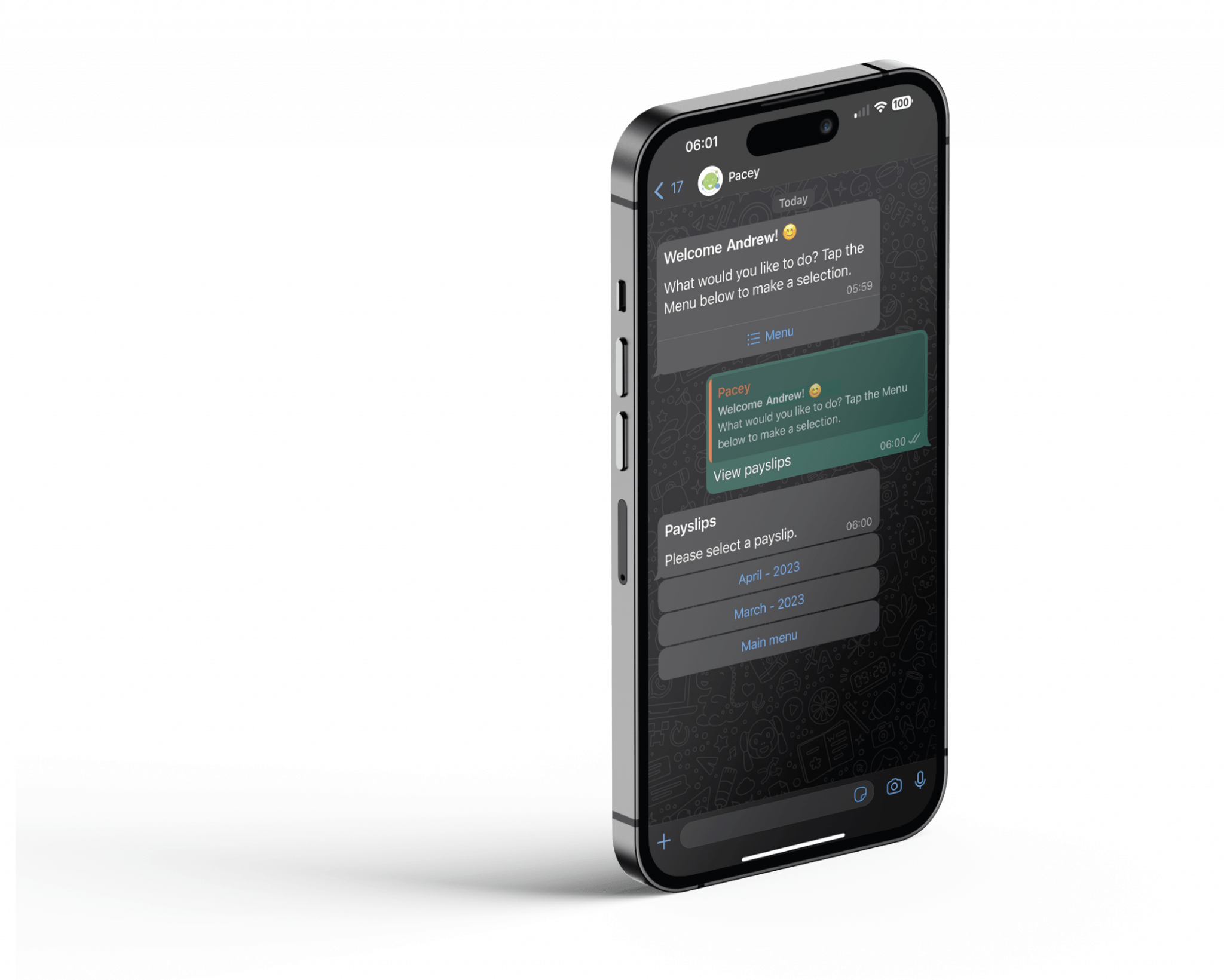 WhatsApp ESS | PaySpace | 2025