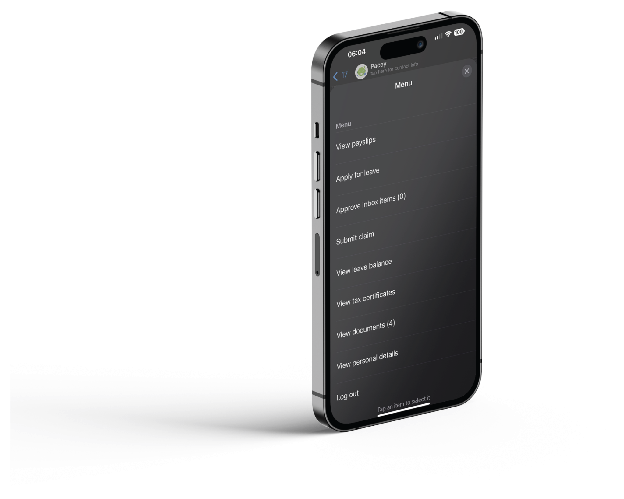 WhatsApp ESS | PaySpace | 2025